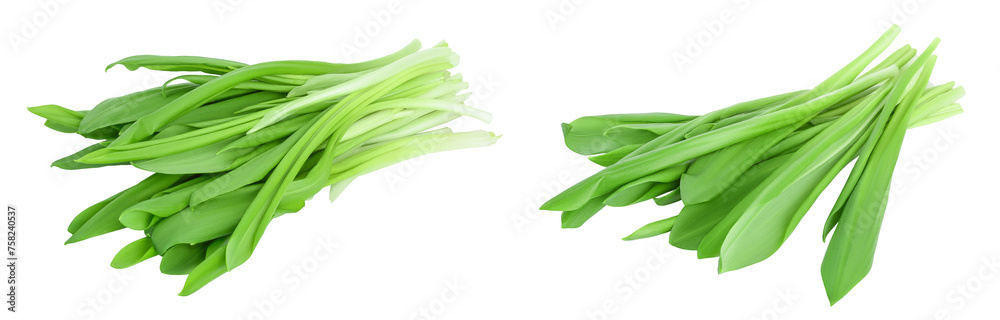 Ramson bunch vegetable isolated on white background with full depth of ...