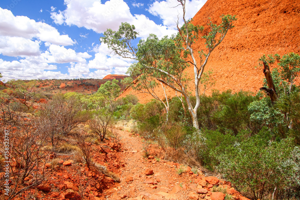 Valley of the Winds trail in Kata Tjuta aka the Olgas, large domed rock ...