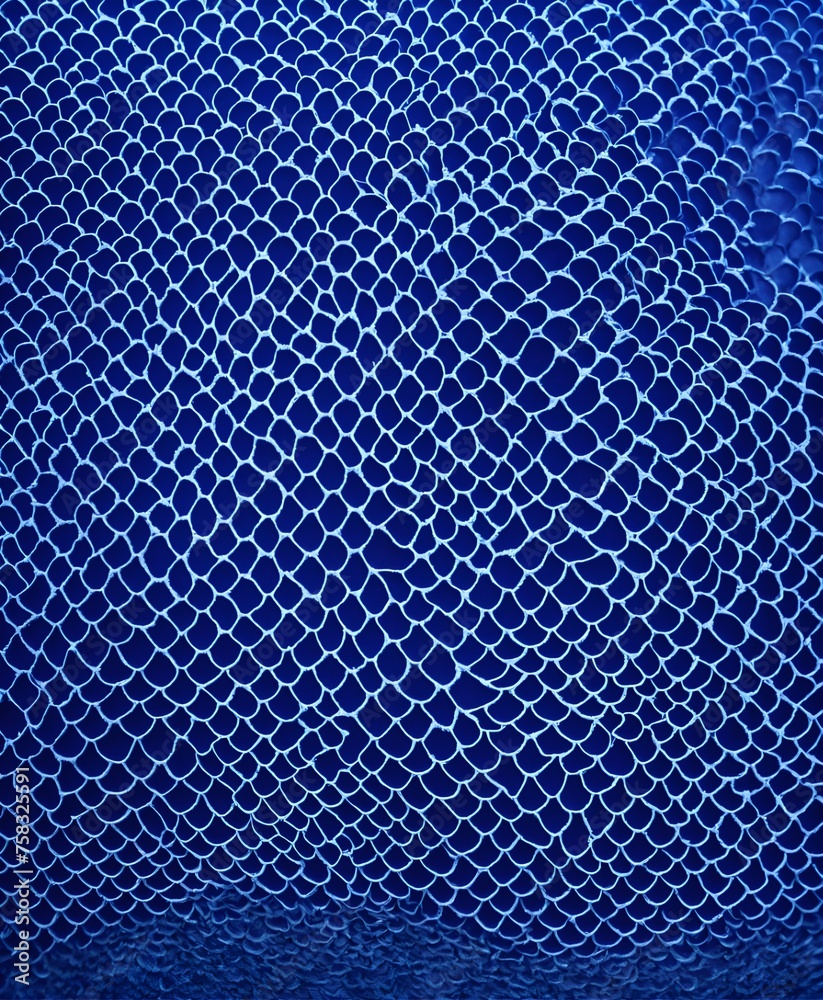 snake skin texture| Abstract blue background ,Blue curve design smooth ...