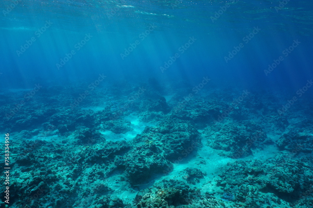 Ocean floor natural underwater background in the south Pacific ocean ...