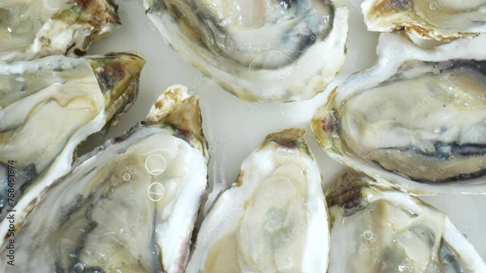 Oysters hold a unique and revered place in the world of gastronomy ...