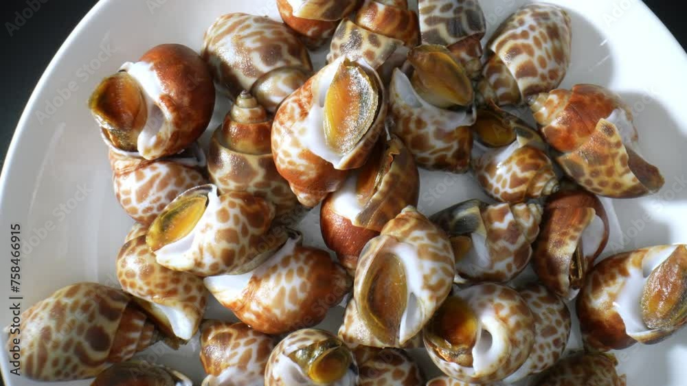 Vidéo Stock The texture of spotted babylon meat is tender yet slightly ...