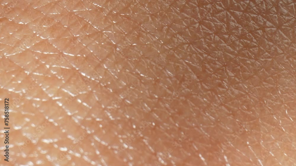 Explore mesmerizing macro videography showcasing intricate skin ...