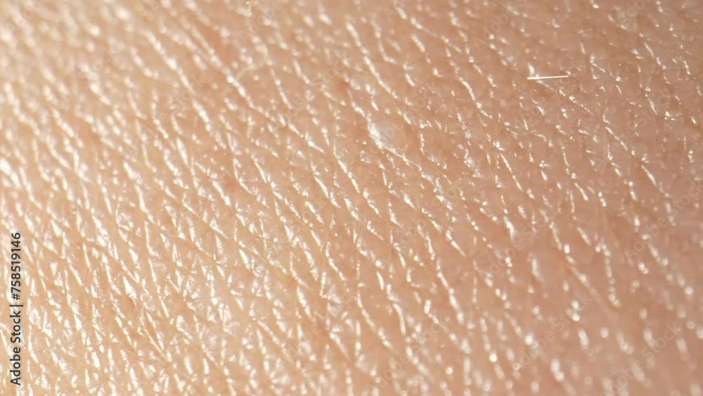 Vidéo Stock Macro video immerses in skin texture world. Precision zoom ...