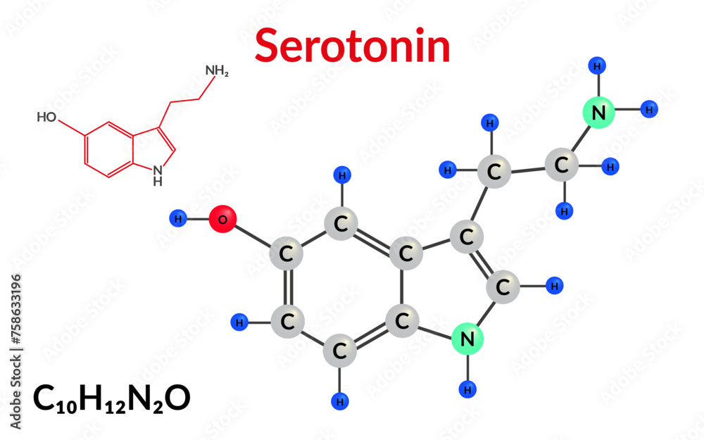 Serotonin molecular structural chemical formula, ball-and-stick model ...