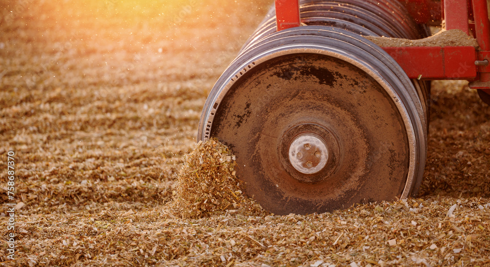 Tractor working with silage at dairy farm, compacting fresh harvest ...