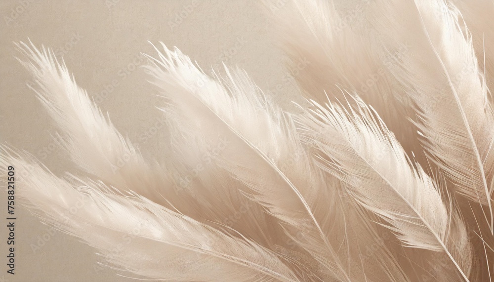 fluff background with neutral colors and aesthetic structure minimalism ...