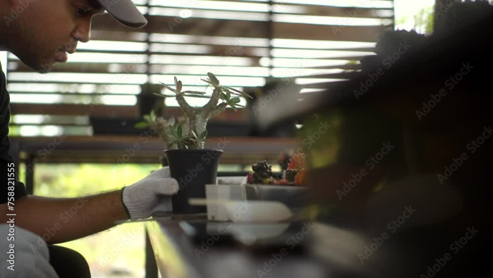 Side view of man measuring the plant growth using vernier caliper scale ...