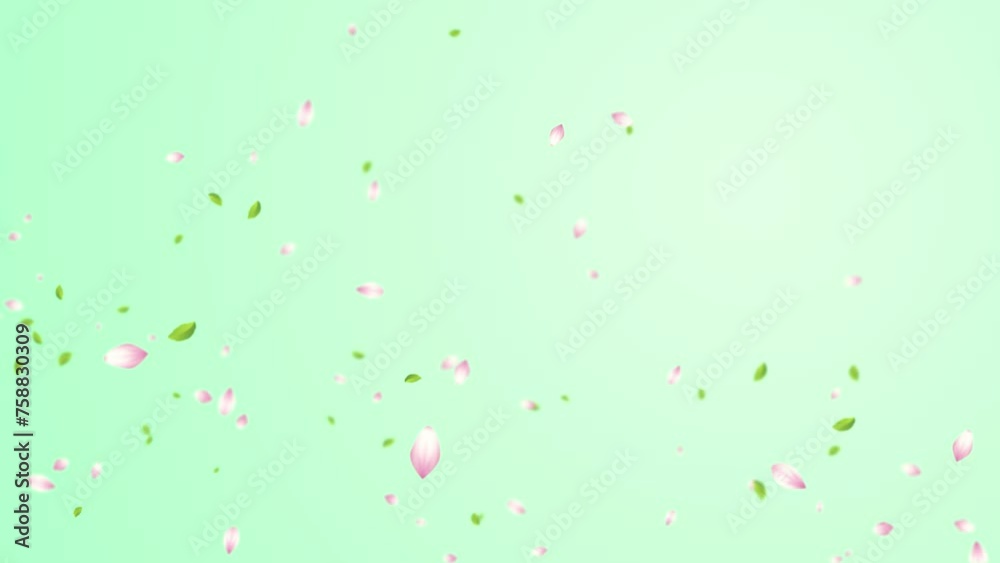 spring flower petals and leaves moving with wind, 4k animation, cherry ...