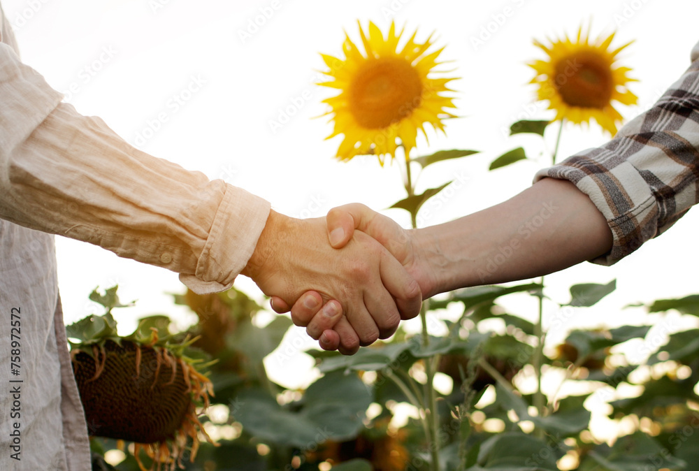 Agribusiness concept. Cropped shot business people shake hands at ...