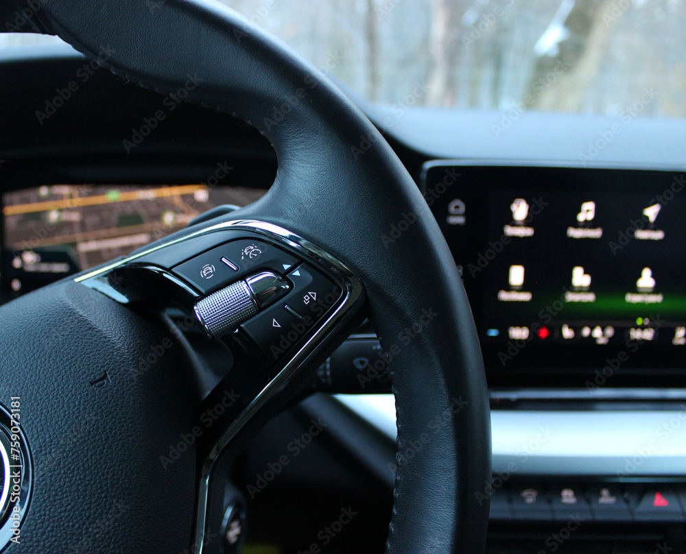 Speed Limiter Mode And Collision Avoidance System Buttons On A Steering ...