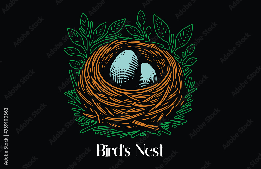 Bird Nest with Eggs Pen and Ink Vector Drawing, Illustration of a bird ...