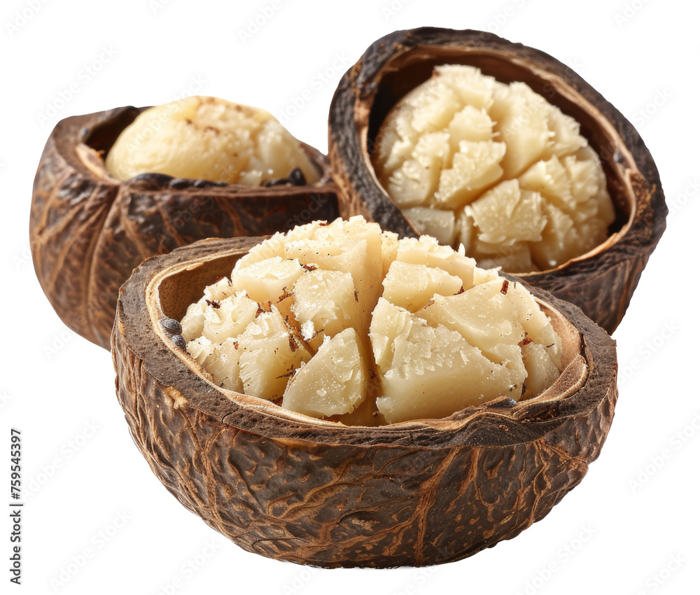 Whole macadamia nuts in shell with visible kernel, cut out - stock png ...
