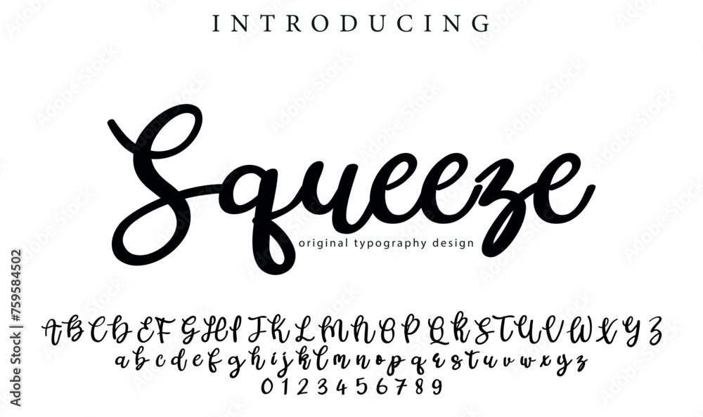 Squeeze Font Stylish brush painted an uppercase vector letters ...