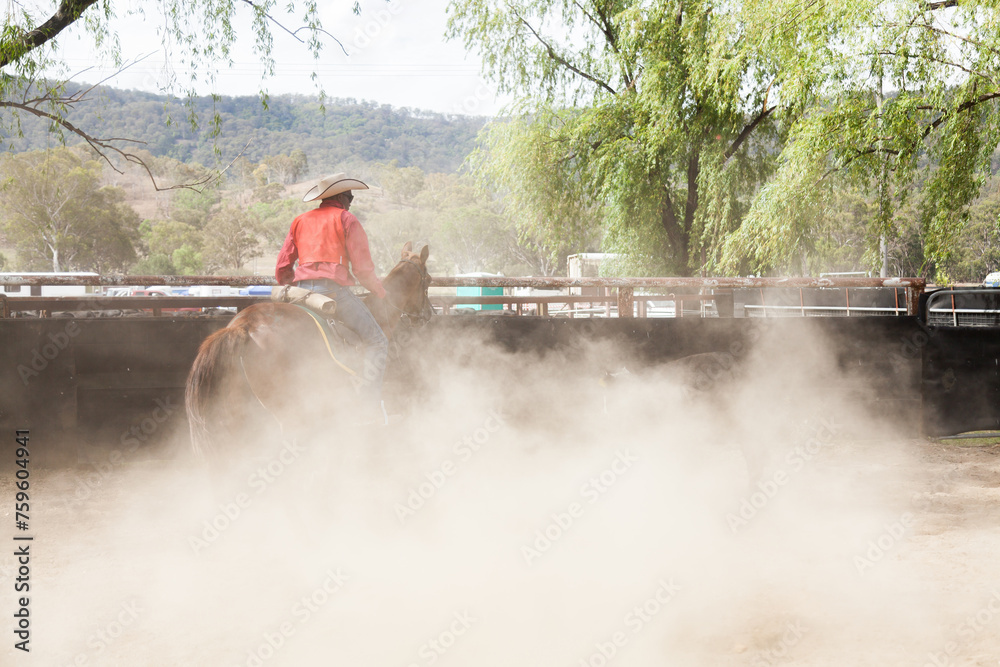 Dust in yard during campdrafting event with horse and rider cutting ...