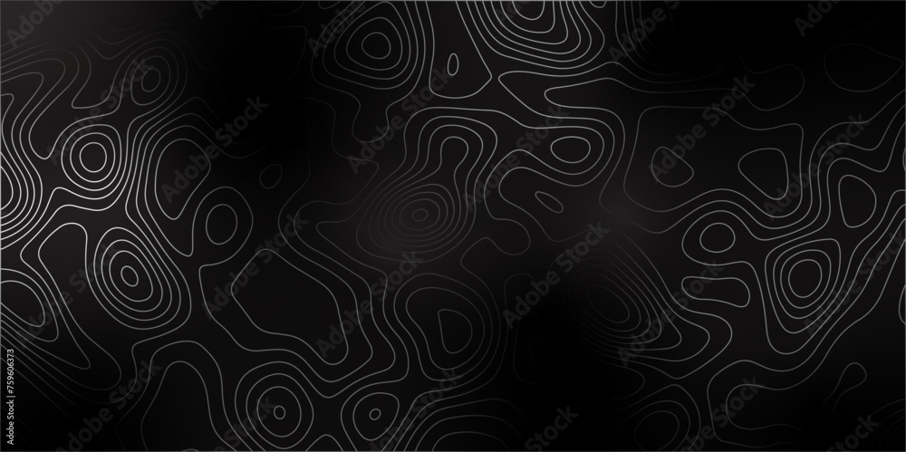 Abstract outline topographic contour map background. Panorama view ...