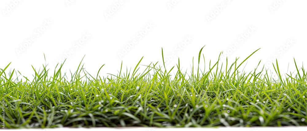 grass row di cut and removed original background PNG transparent Stock ...