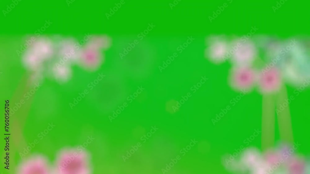 Chroma Key Floral Frame Animation: Perfect for Women's Day, Valentine's ...