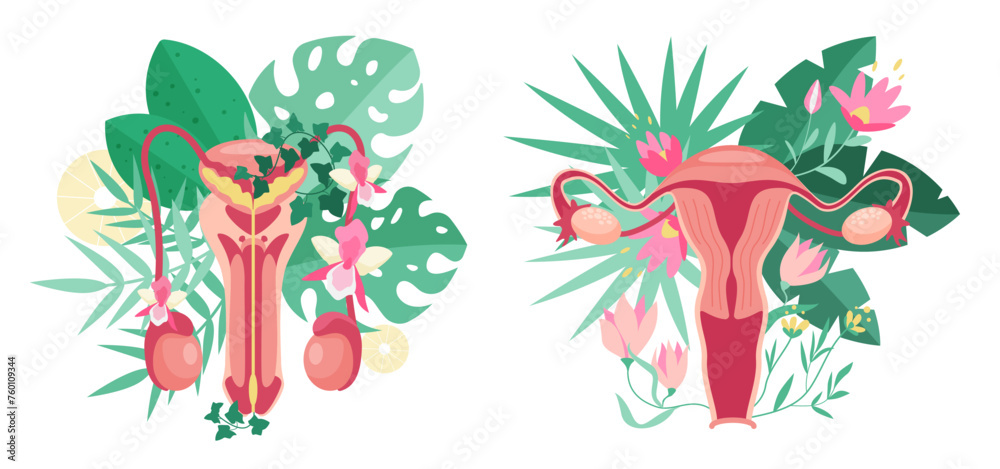 Female and male reproductive systems in anatomy diagram with flowers ...
