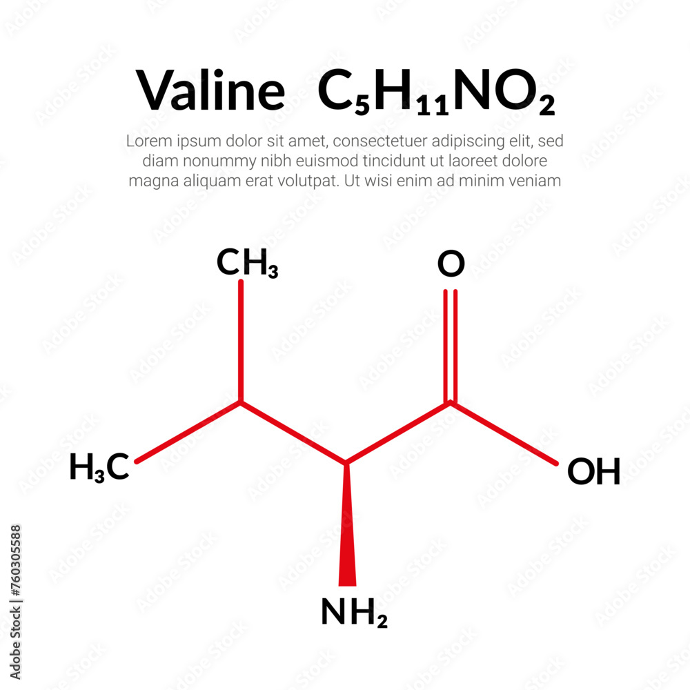 Valine (symbol Val or V) C5H11NO2 amino acid, molecular structural ...
