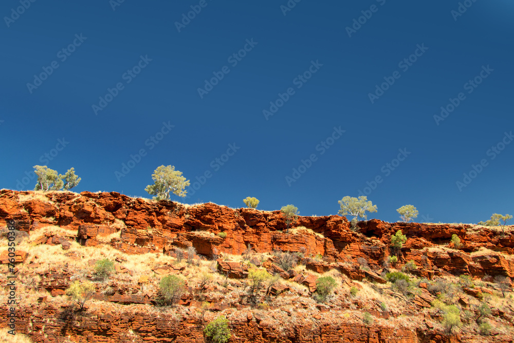 Poster Experience the awe-inspiring scenery of Karijini National Park ...