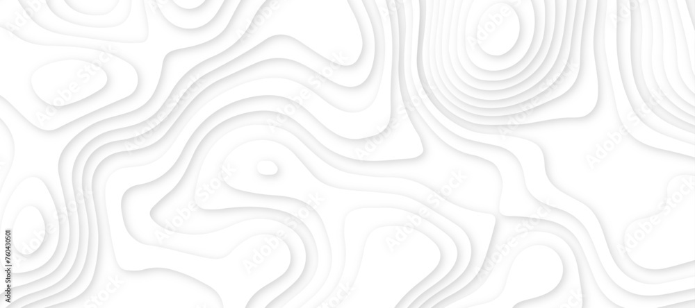 Abstract White Luxury Paper Cut Banner Concept Abstract Wavy Line 3d
