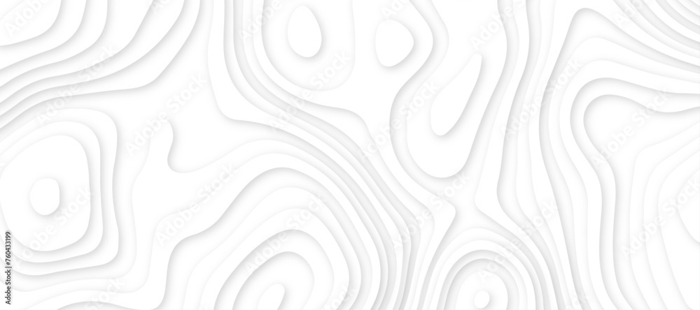 Abstract White Luxury Paper Cut Banner Concept Abstract Wavy Line 3d