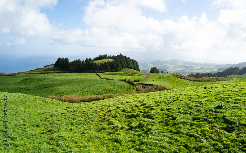 Green nature. Forests, meadows, and the ocean such a view is from The ...