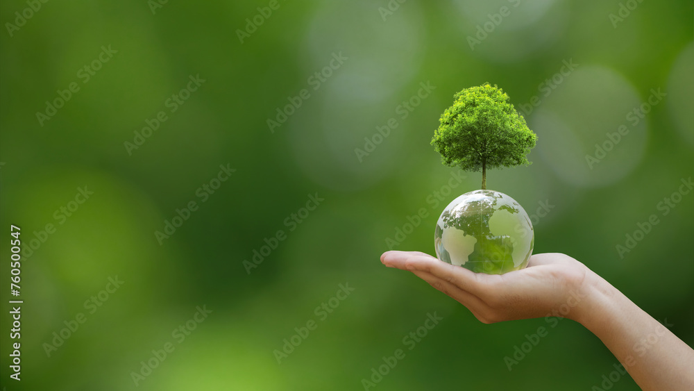 World Environment Day and World sustainable environment concept. Hand ...