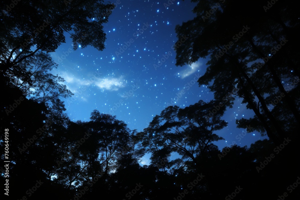 Mysterious shapes in starry night by jana cook with aaron horky and dan ...