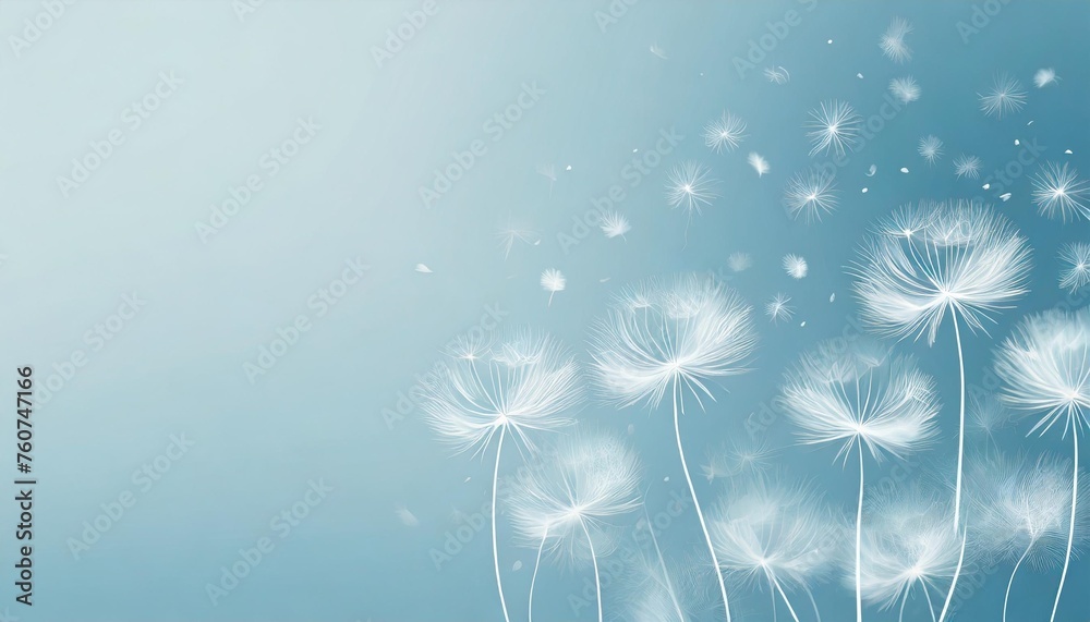 dandelion fluff background for aesthetic minimalism style background ...