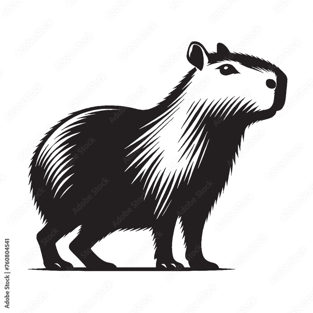 Capybara Silhouette, Capybara Silhouette in standing pose, Capybara ...