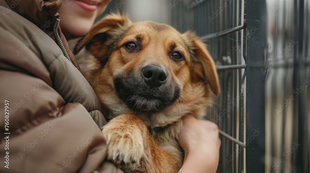 Happy person adopting a dog from an animal shelter, background is the ...
