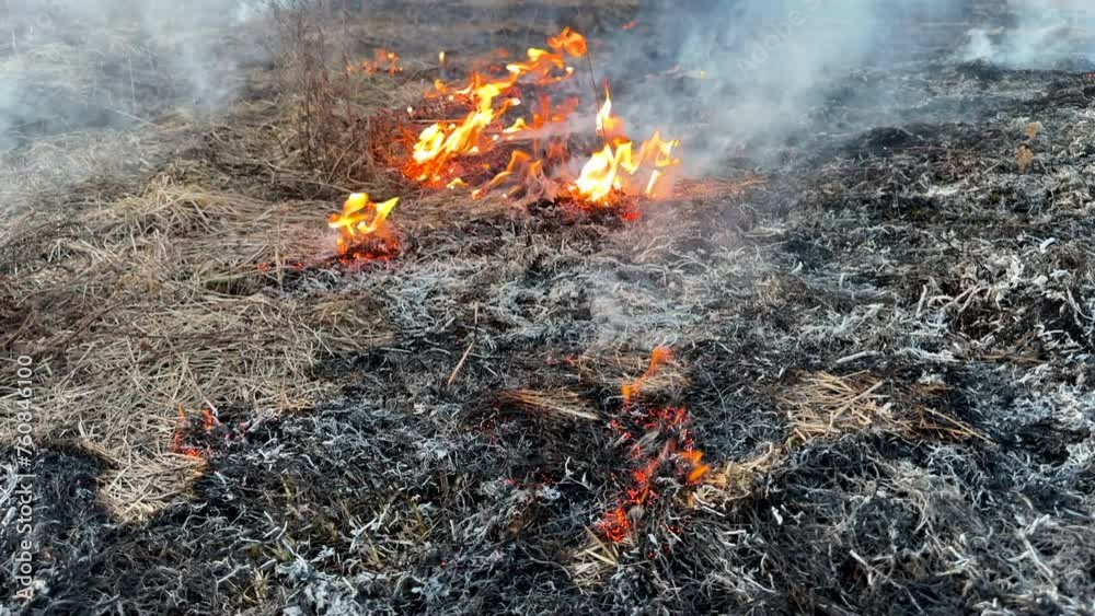 Fire grass in farm field. Dry Grass Fires due to drought. Hot weather ...