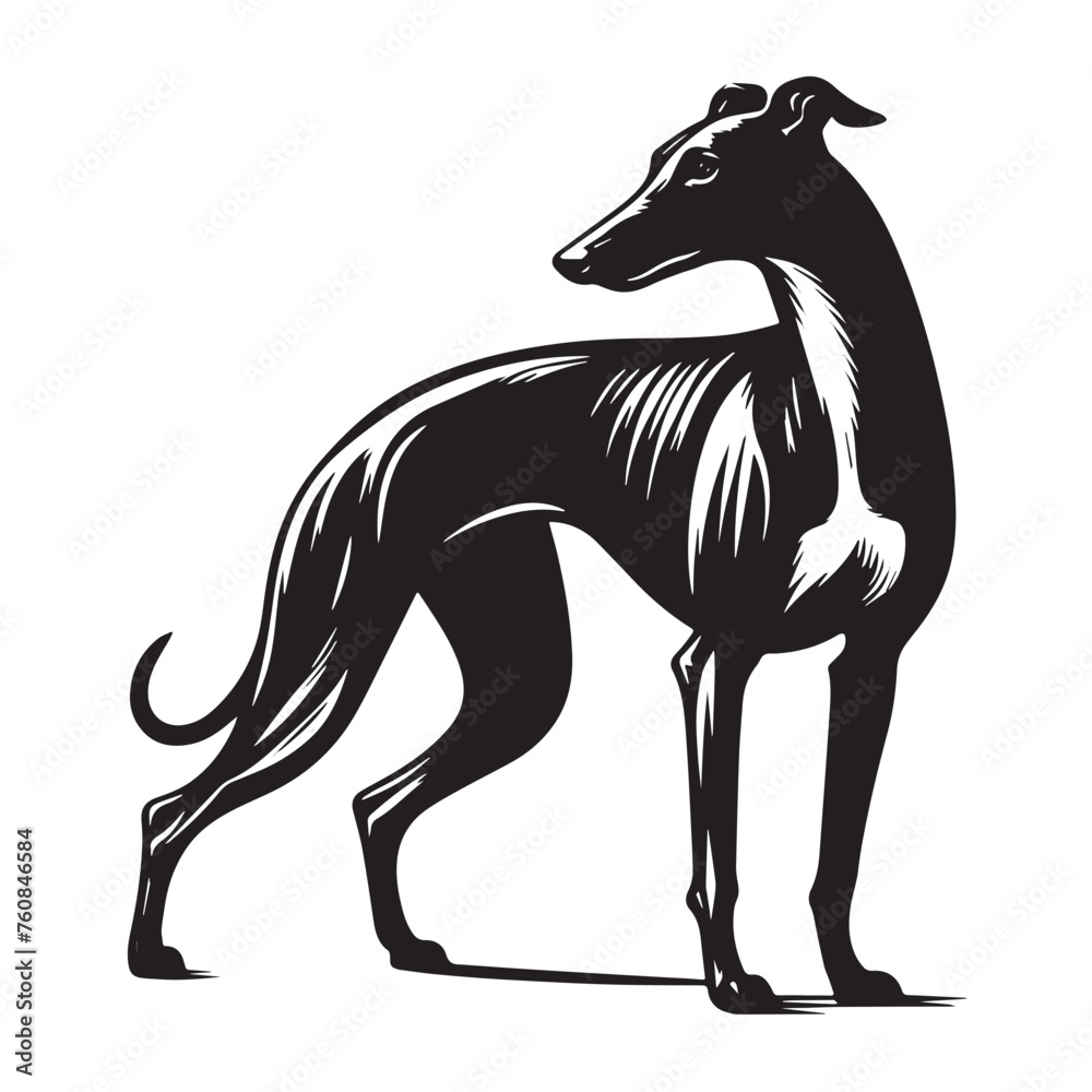 Retro Greyhound Silhouette Collection, Classic Greyhound Silhouette Art ...