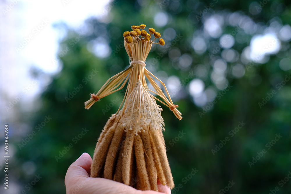 female hands holds ritual doll made of straw, grass in honor rich ...