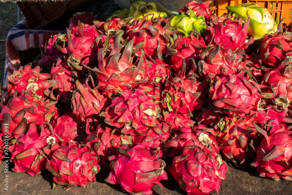 Red dragon fruit with red pulp. Hylocereus costaricensis, is on display ...