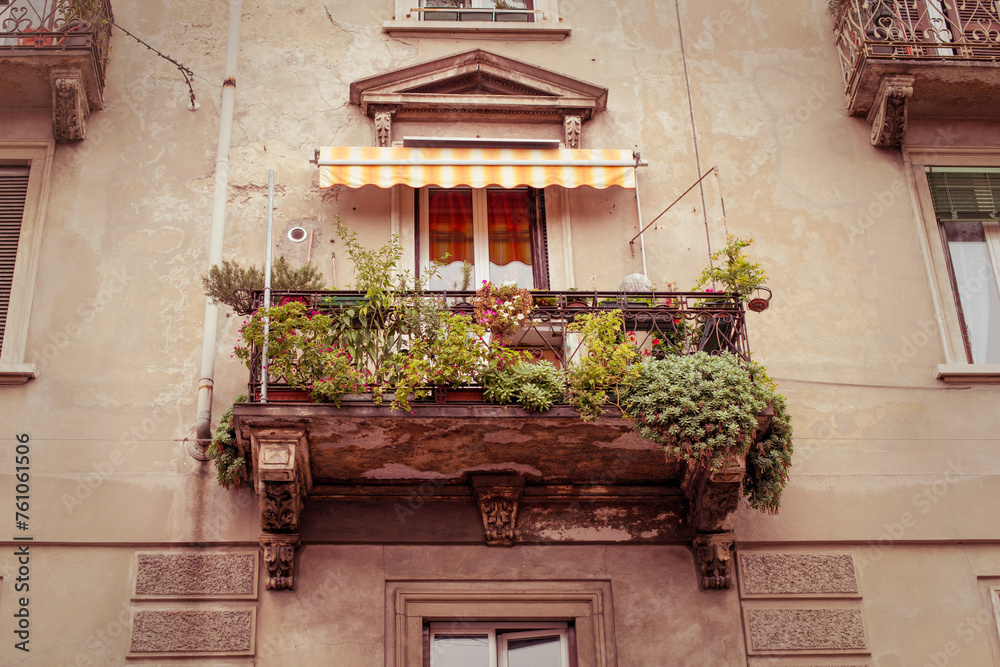 landscaping of the balcony. a balcony with plants. Urban gardening ...