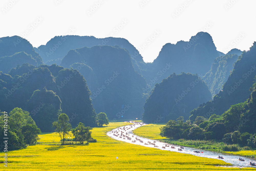 Ripe rice season in Tam Coc, Ninh Binh and the festival to celebrate ...