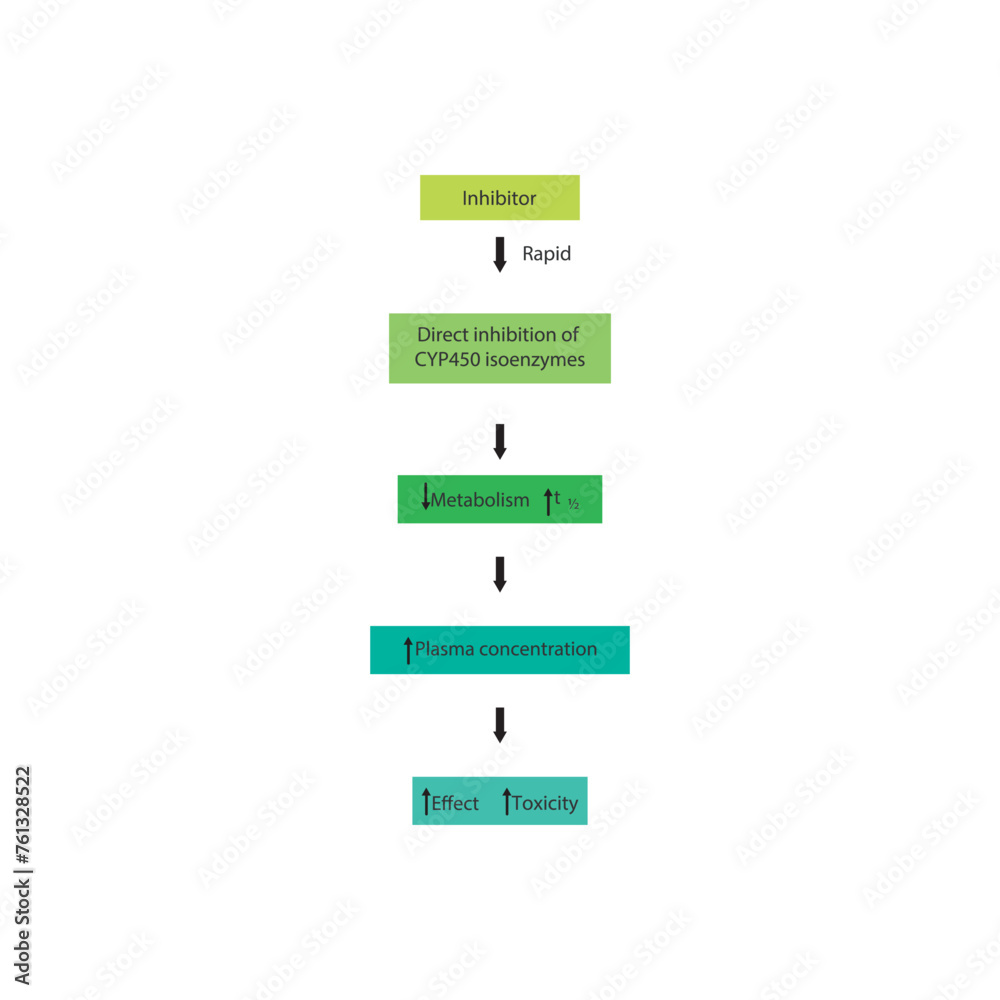 Diagram of drug metabolism inhibitor process - effect on CYP450 enzymes ...