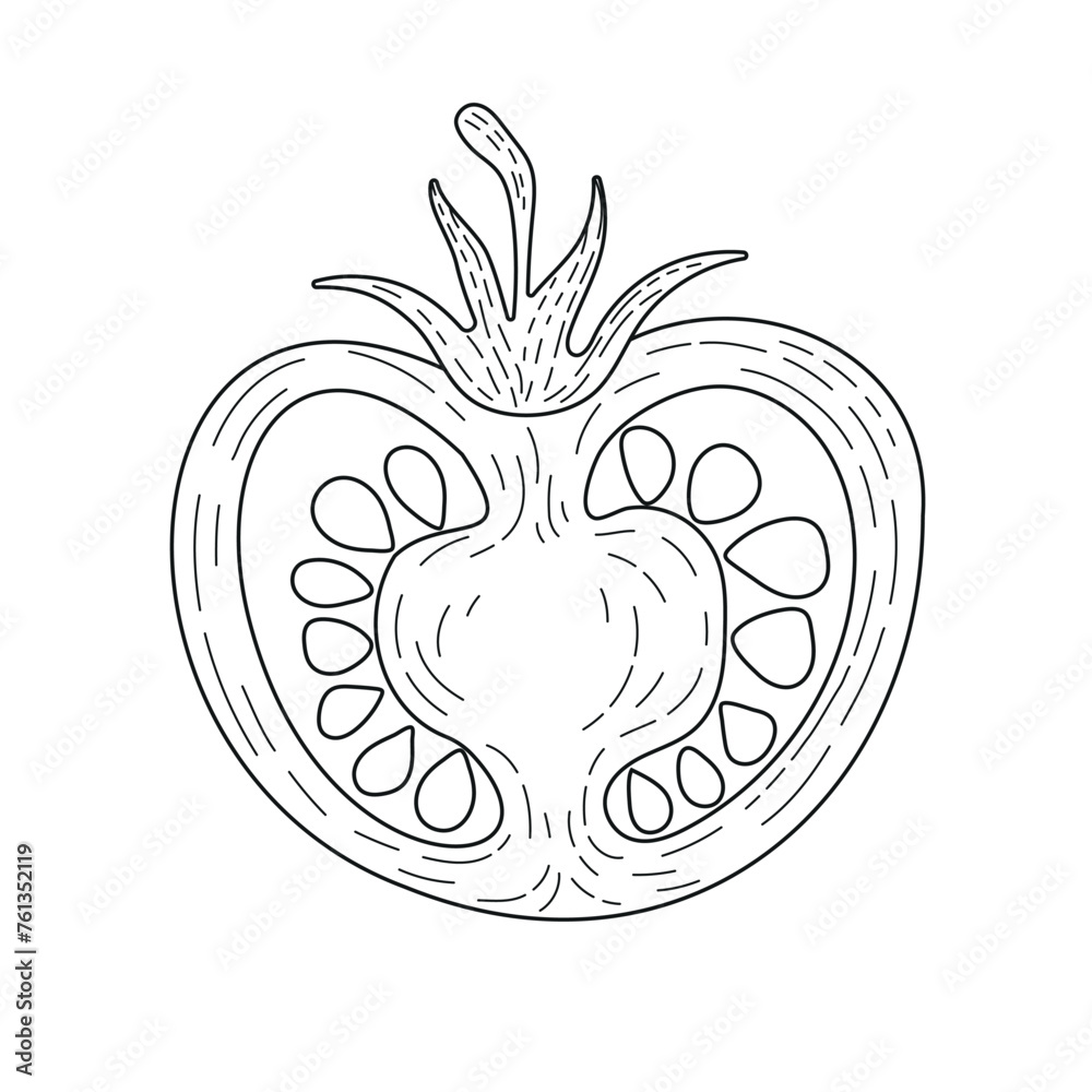 Vecteur Stock BW vector illustration of food. Sliced tomato. Realistic ...