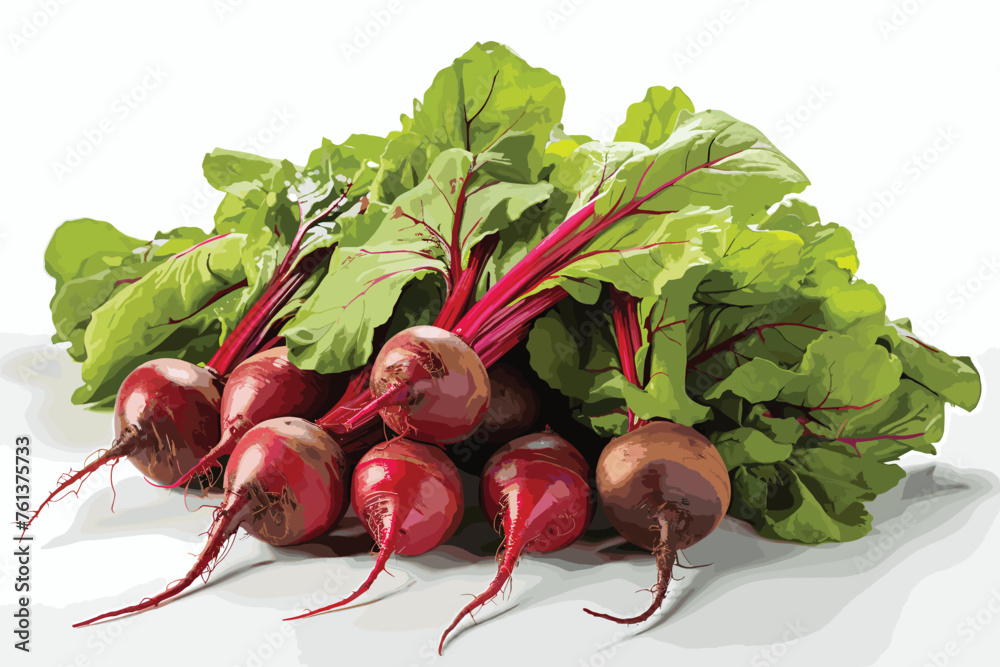 Beet root with beetroot leaves vegetables with leaves on white ...