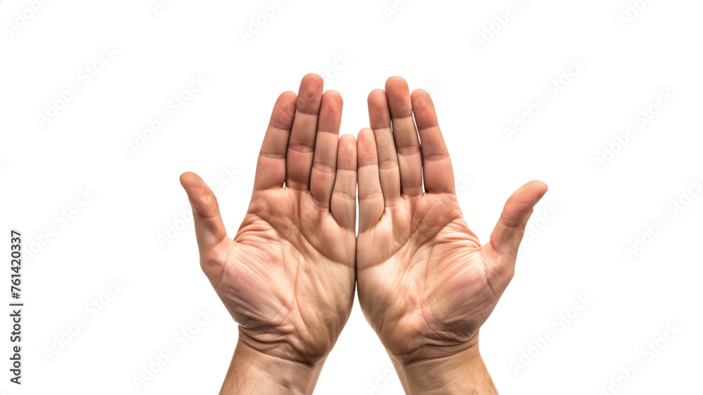Praying hands. Open palms. Transparent background PNG. Clasped hands in ...