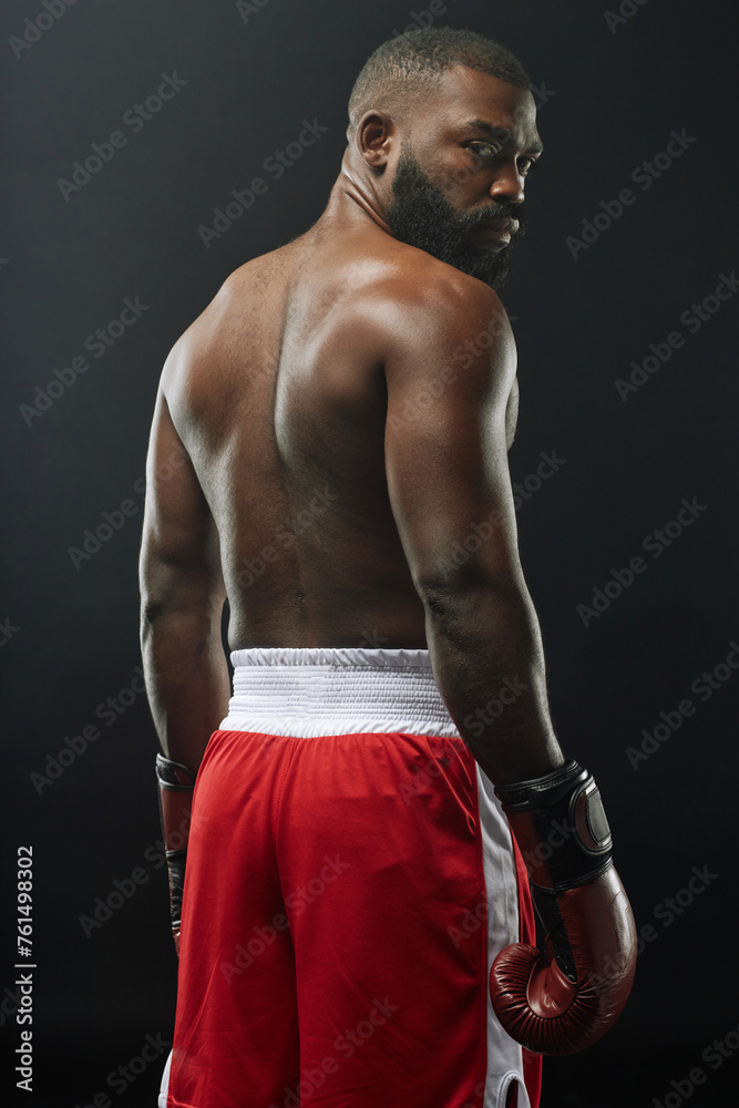 Vertical back view of muscular African American boxer posing shirtless ...