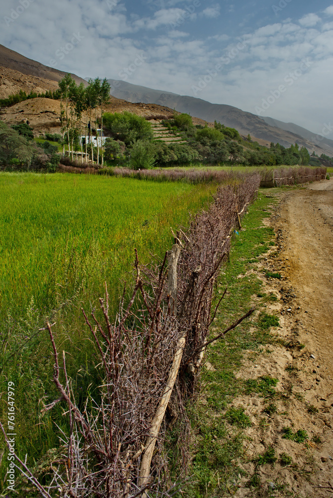 Tadjikistan. A village fence made of stones and bushes is a traditional ...
