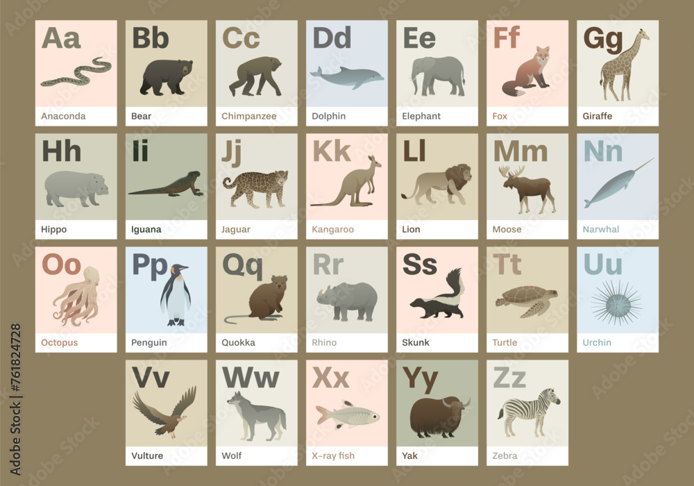 Animal alphabet cards design. Educational English learning. ABC cards ...