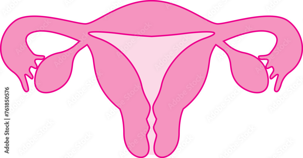 Uterus, womb, the pear-shaped organ in a woman's pelvis icon. Stock ...