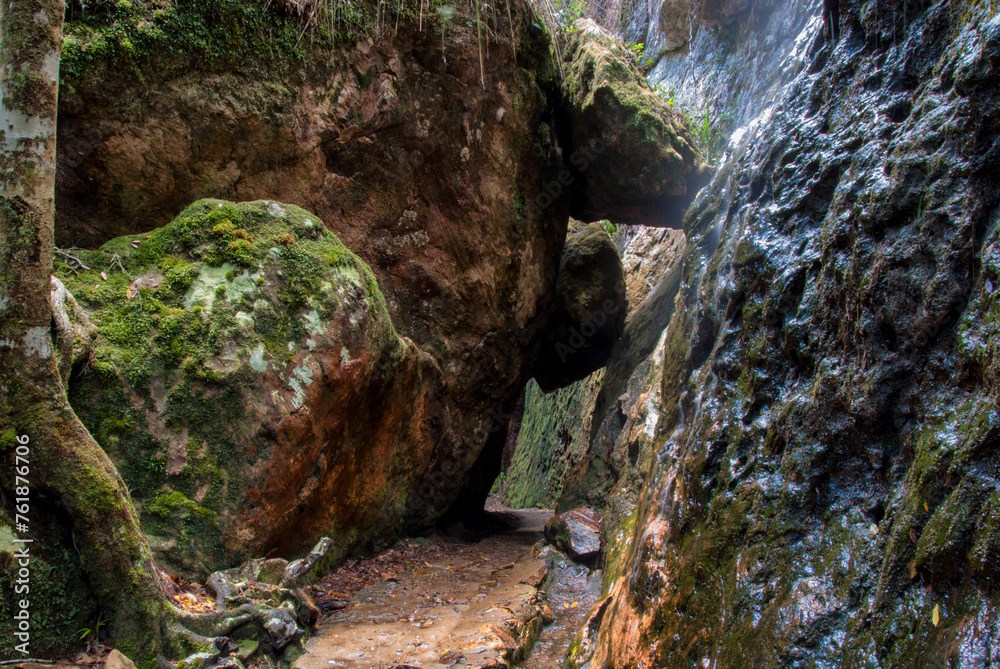 Hiking the waterfall circuit in Springbrook National Park, Queensland ...