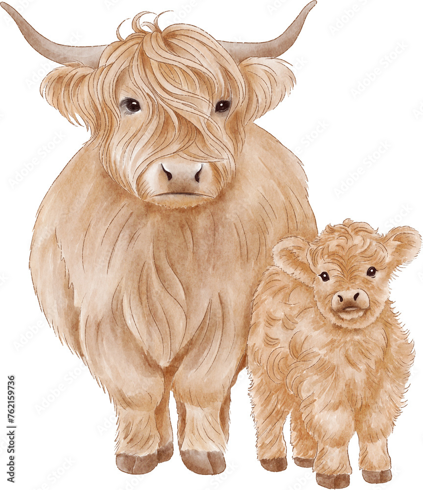 mom and baby highland cow cartoon Stock Illustration | Adobe Stock