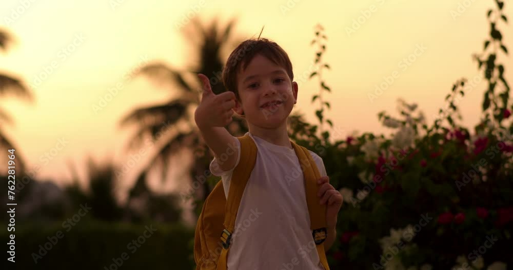 Portrait handsome child of a happy cute school boy, a smiling school ...